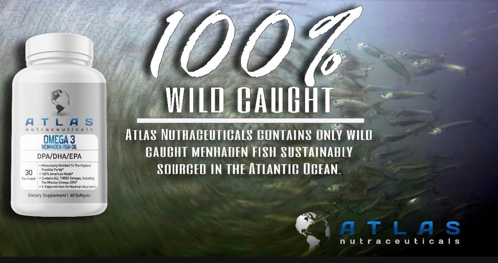 Omega-3 Atlantic Menhaden Fish Oil-60 Softgels – Atlas Nutraceuticals